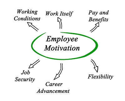 The introduction of re-employment systems for young and mid-career ...